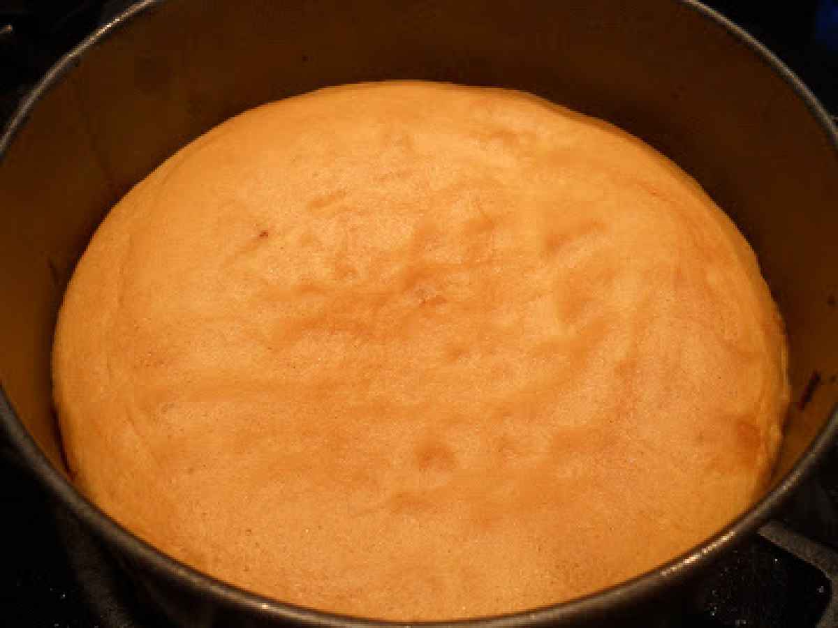 Retete pandispan - 6 rețete - Petitchef