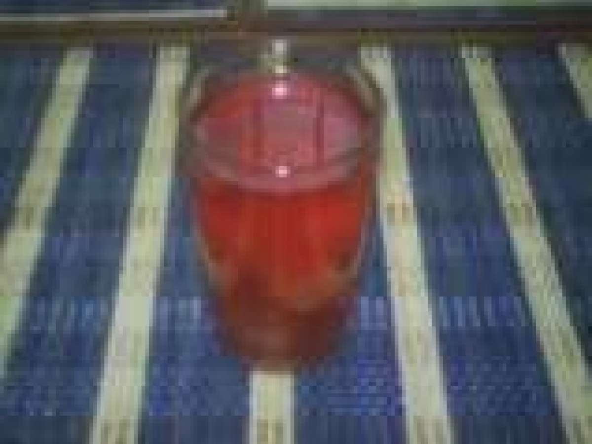 Compot de corcoduse de Valentina Ionita Ghid Culinar