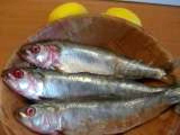 Rețetă de scrumbie de dunăre marinată