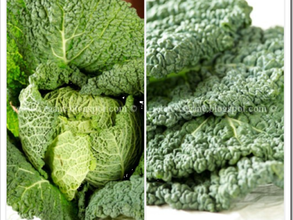 Rețetă de chipsuri din varză creată