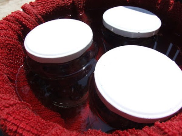 Rețetă compot de corcoduse roșii