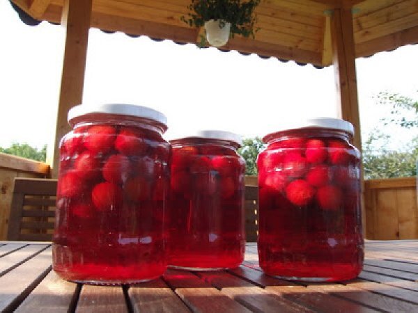 Rețetă compot de corcoduse roșii