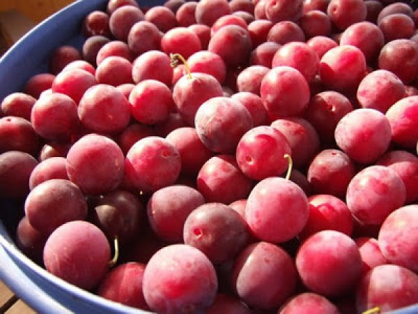 Gem de corcoduse rosii - Rețetă Petitchef