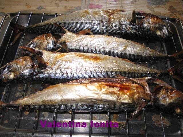 Rețetă de macrou la grill (grătar)