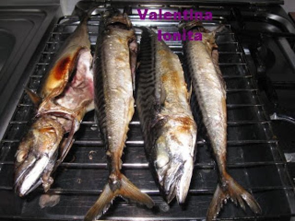 Rețetă de macrou la grill (grătar)