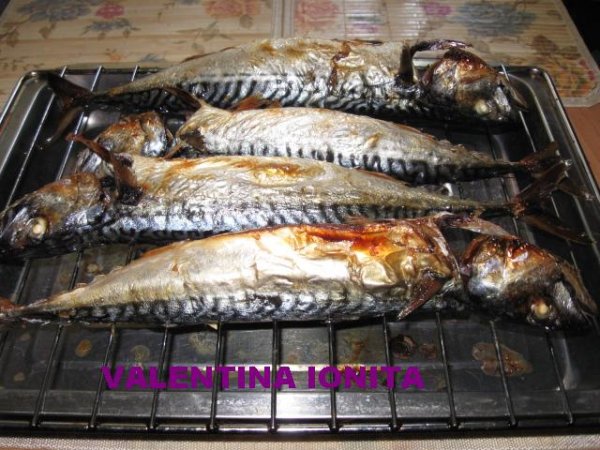 Rețetă de macrou la grill (grătar)