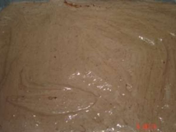 Rețetă simplă și delicioasă de prăjitură înghețată