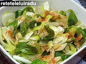 Rețetă salată de andive cu semințe