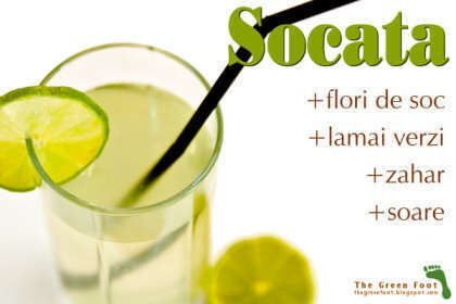 Socata - Rețetă Petitchef