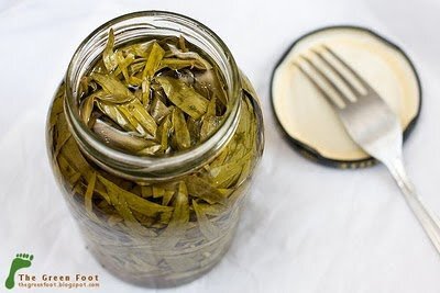 Tarhon in otet - Rețetă Petitchef