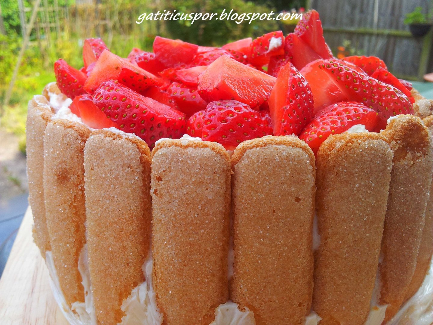 Rețetă tort cu piscoturi, iaurt și căpșuni simplu